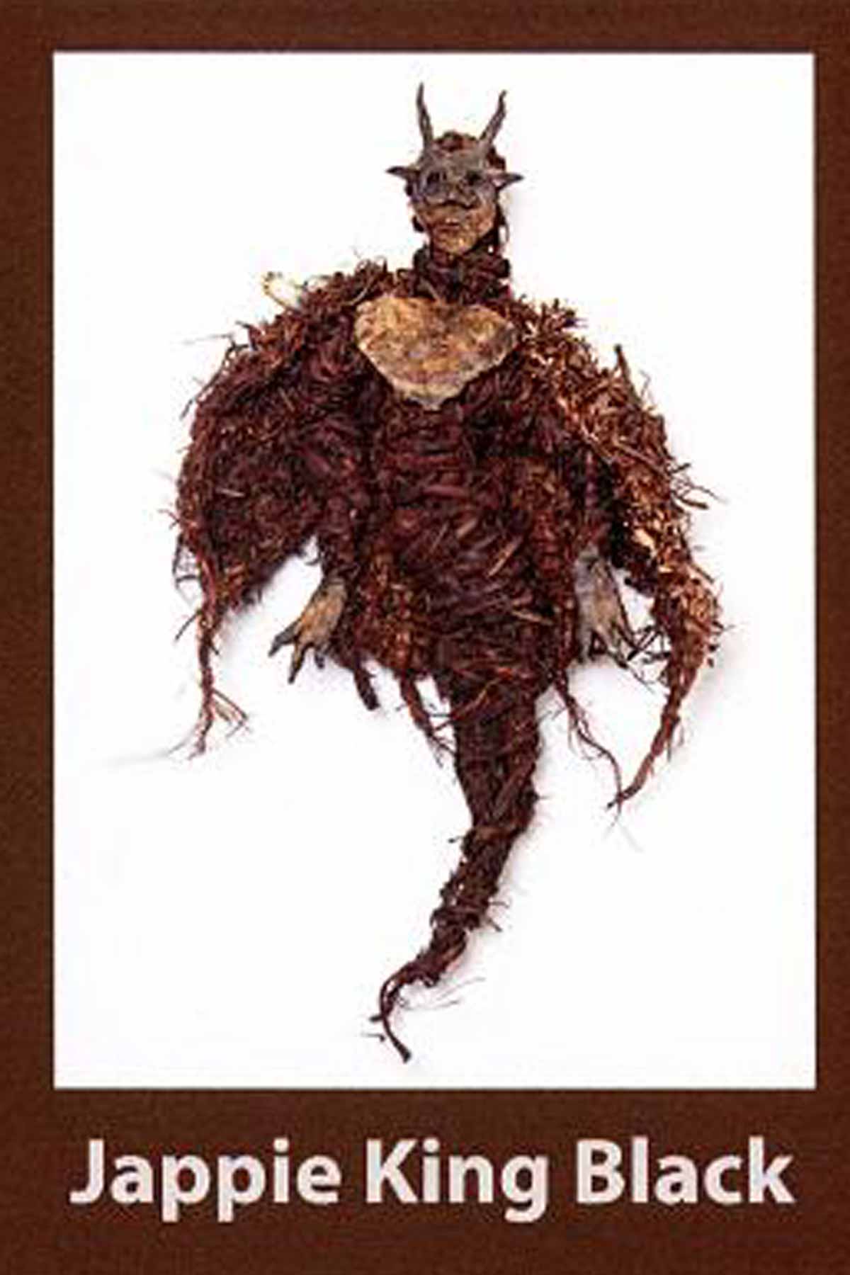 Other Fiber Events - Weavers' Guild of Rochester